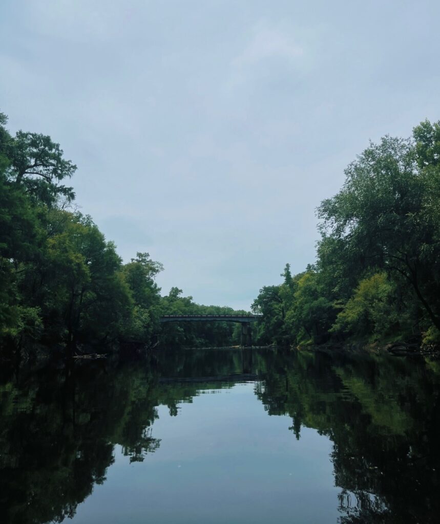 Kayaking the Withlacoochee River in Madison, Florida - Twenty Something ...